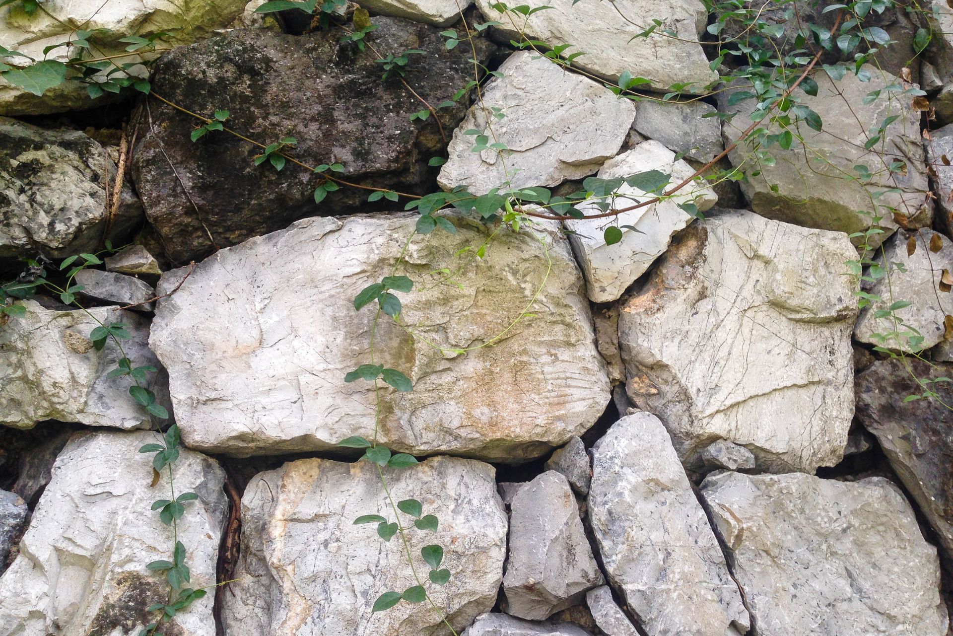 Cost of Large Landscaping Rocks NZ: Auckland Landscape Co.