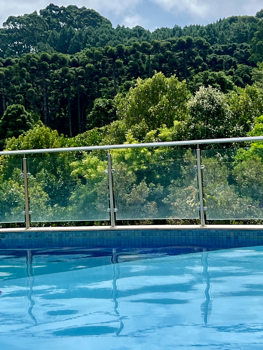 Pool Fencing NZ: A Complete Guide for Safety & Compliance in Auckland