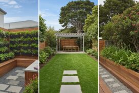 New Zealand Plants for Auckland Gardens | Native Landscaping Guide